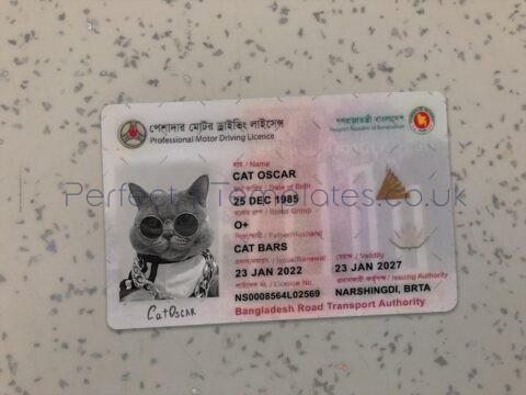 Bangladesh Driving Licence - Perfect Templates - The Biggest Selection ...