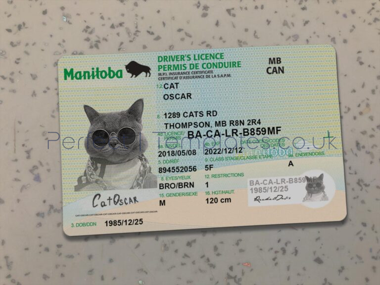 Canada Manitoba Driving Licence - Perfect Templates - The Biggest ...