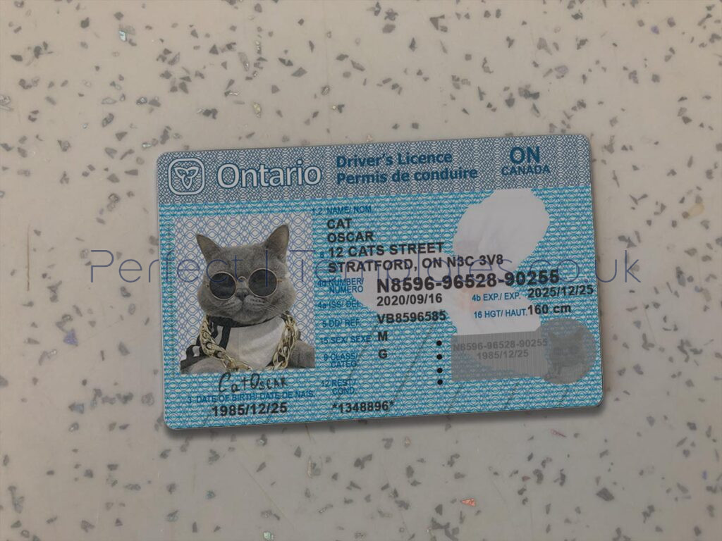 Canada Ontario Driving Licence - Perfect Templates - The Biggest ...