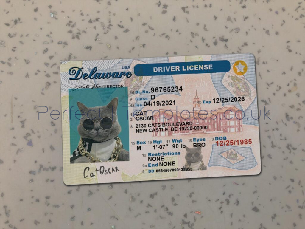 Delaware Driving Licence Template - Perfect Templates - The Biggest ...