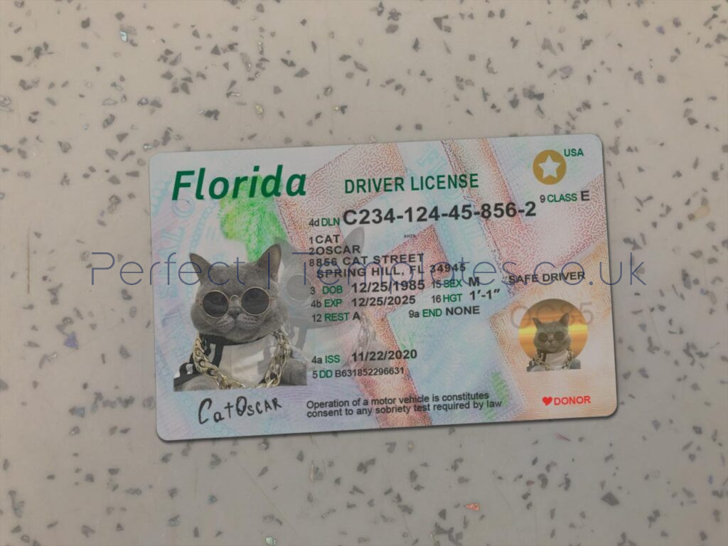 Florida Driving Licence Template - Perfect Templates - The Biggest ...