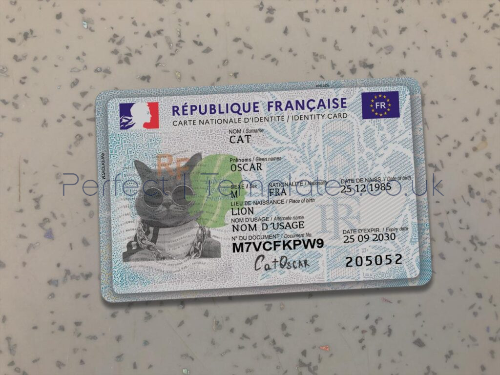 France Identity Card Template - Perfect Templates - The Biggest ...