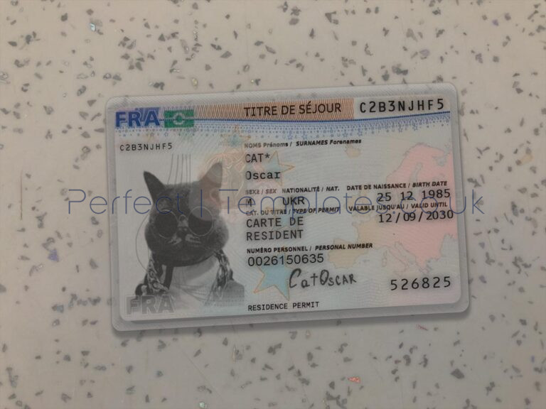 France Residency Permit Template - Perfect Templates - The Biggest ...