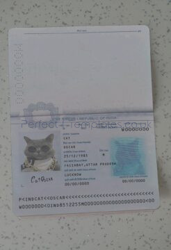 India Passport Template - Perfect Templates - The Biggest Selection of ...