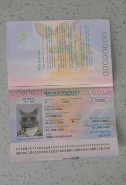 Indonesia Passport Template - Perfect Templates - The Biggest Selection ...