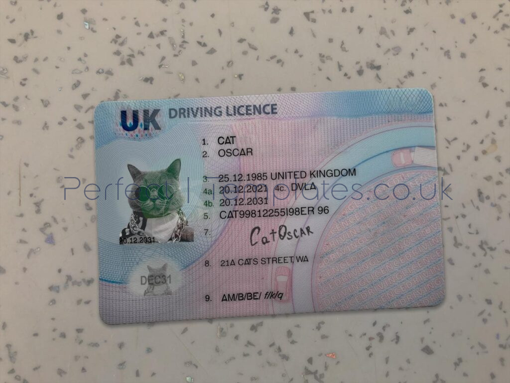 Ireland Driving Licence Template - Perfect Templates - The Biggest ...