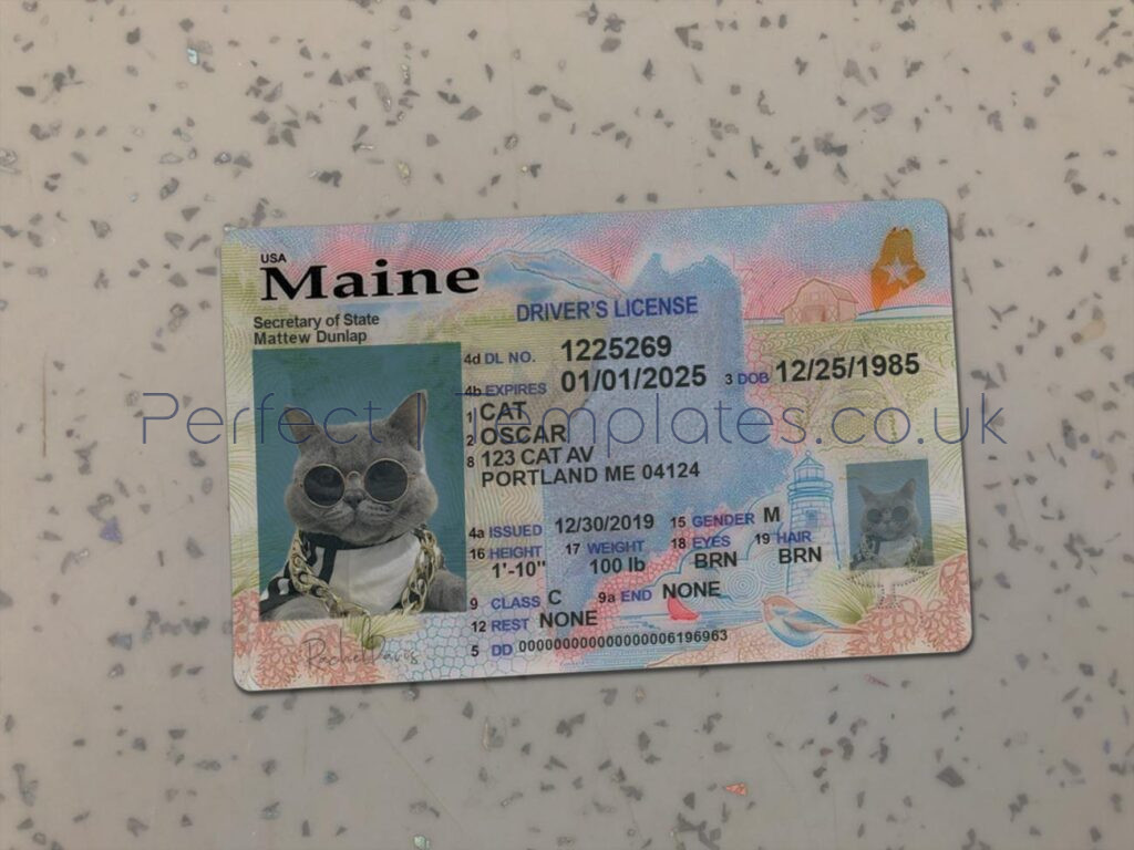 Maine Driving Licence Template - Perfect Templates - The Biggest ...