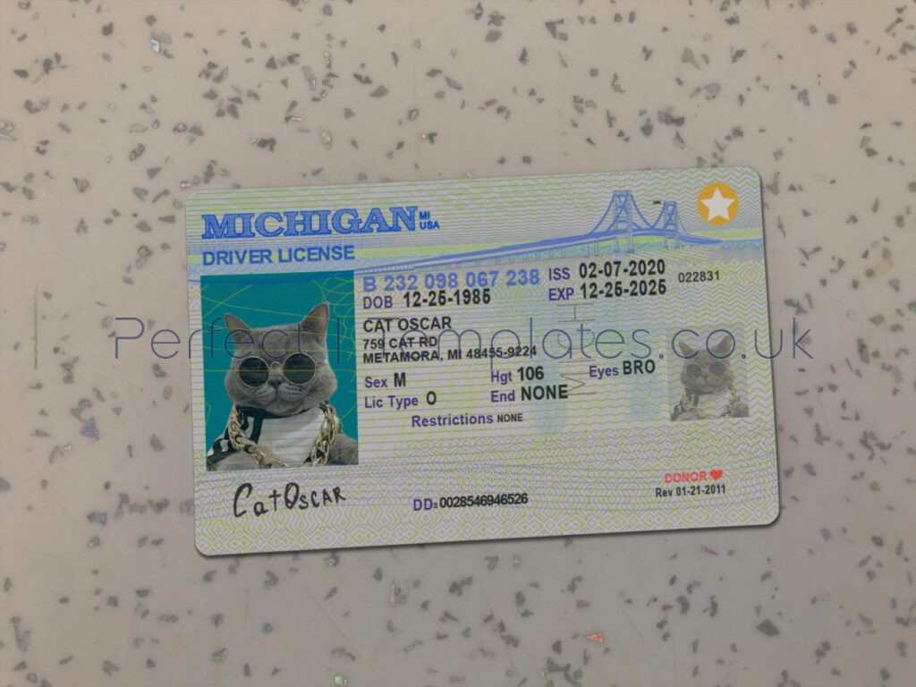 Michigan Driving Licence Template - Perfect Templates - The Biggest ...