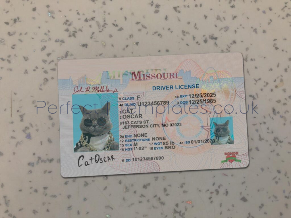 Missouri Driving Licence Template - Perfect Templates - The Biggest ...