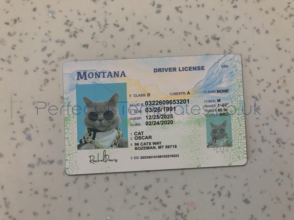 Montana Driving Licence Template - Perfect Templates - The Biggest ...