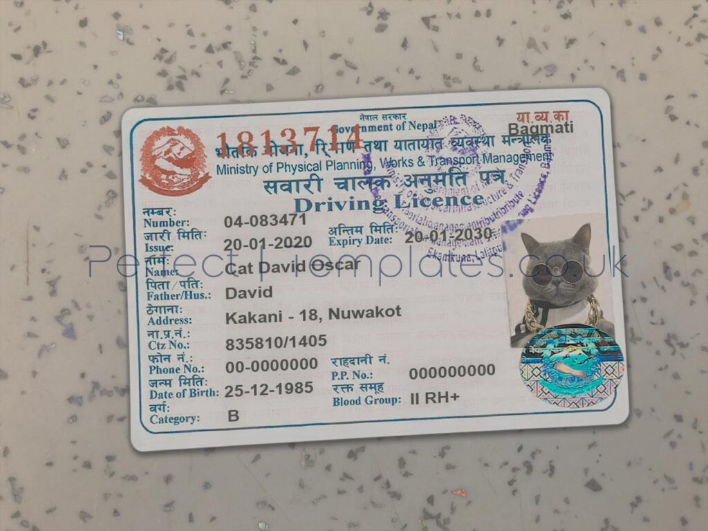Nepal Driving Licence Template - Perfect Templates - The Biggest ...