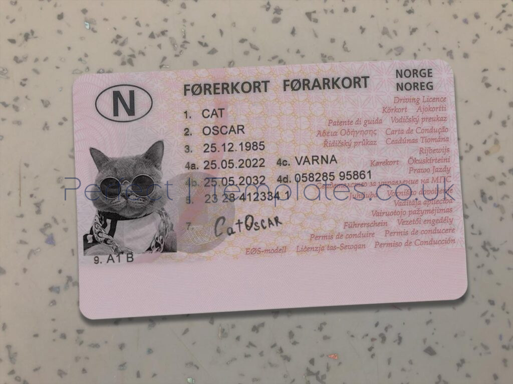 Norway Driving Licence Template - Perfect Templates - The Biggest ...
