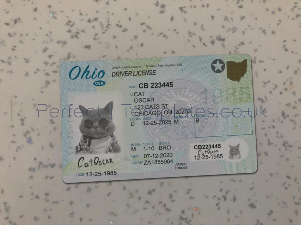 Ohio Driving Licence Template - Perfect Templates - The Biggest ...
