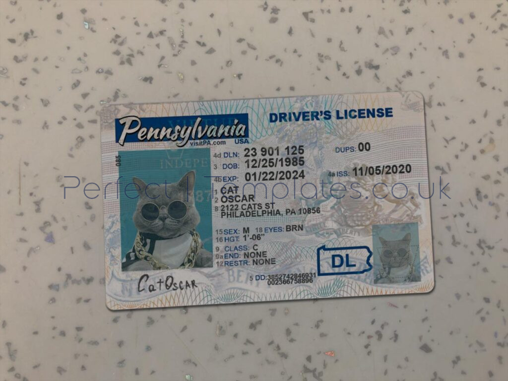 Pennsylvania Driving Licence Template - Perfect Templates - The Biggest ...