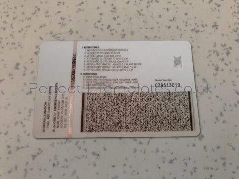 Philippines Driving Licence Template - Perfect Templates - The Biggest ...