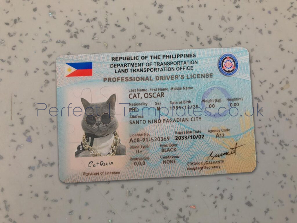 Philippines Driving Licence Template - Perfect Templates - The Biggest ...