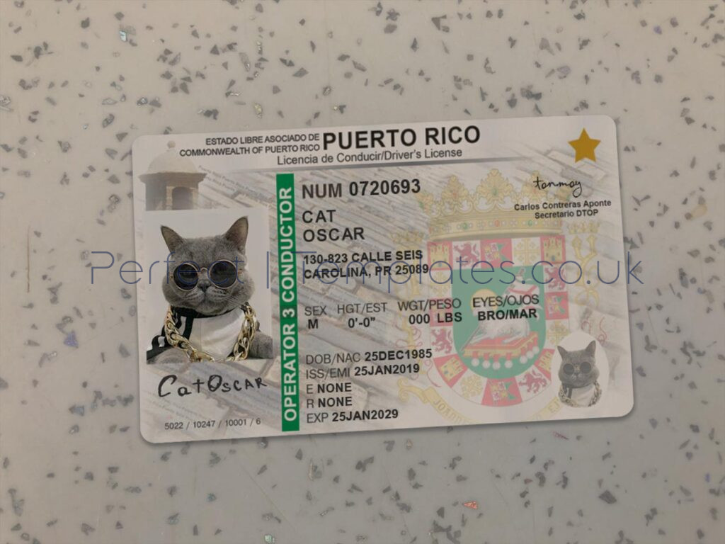 Puerto Rico Driving Licence Template - Perfect Templates - The Biggest ...
