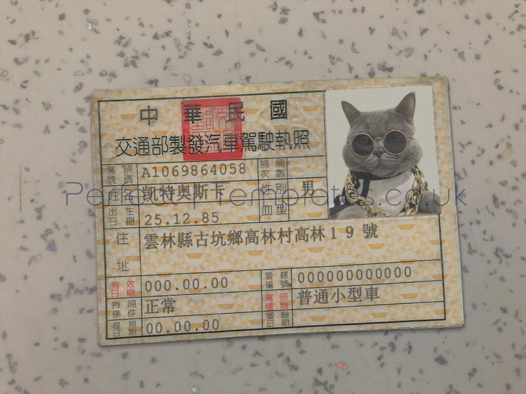 Taiwan Driving Licence Template - Perfect Templates - The Biggest ...