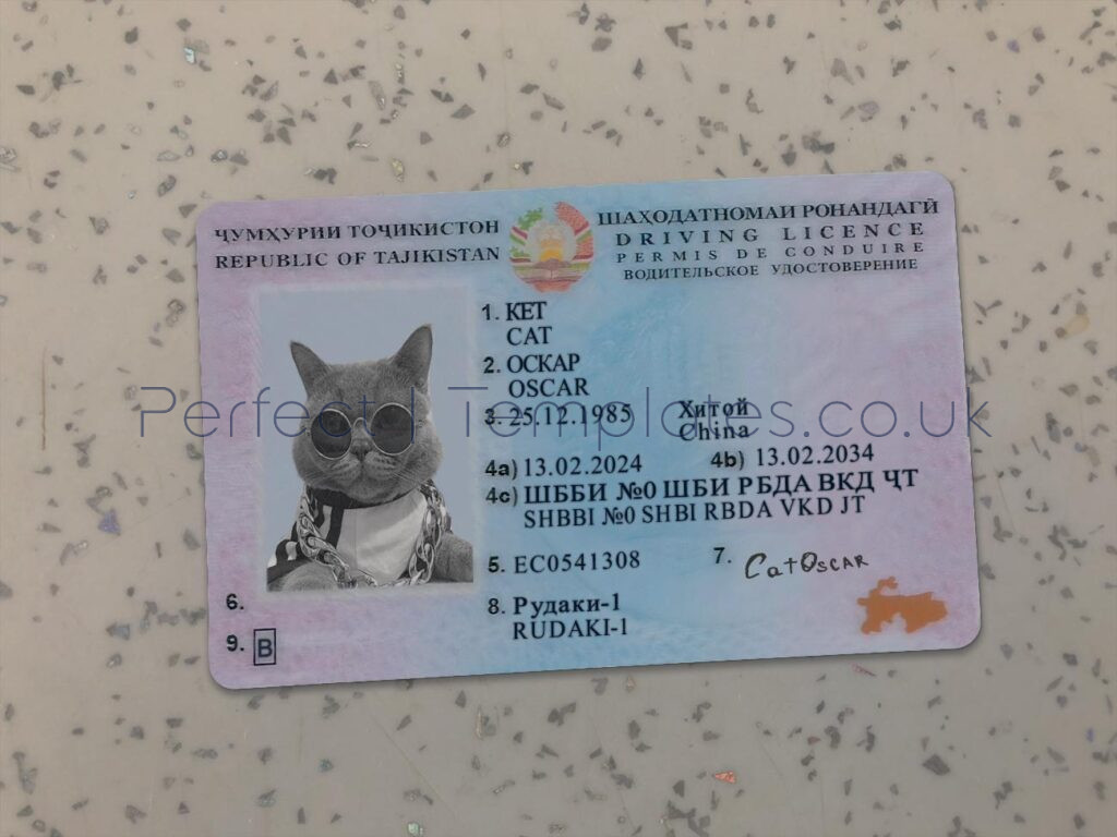 Tajikistan Driving Licence Template - Perfect Templates - The Biggest ...
